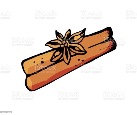 흰색 배경에 분리 된 밧줄로 묶인 계피 스틱의 손으로 그린 그림 건조한에 대한 스톡 벡터 아트 및 기타 이미지 건조한 계피 나무 껍질 Istock