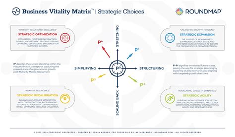 Business Vitality Matrix Strategic Pathways Toward Sustainable Growth Roundmap® Wisdom Across