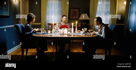 Annette Bening American Beauty Motel