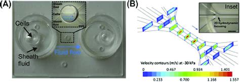 2 A Microfluidic Cytometer Based On The 2d Hydrodynamic Focusing