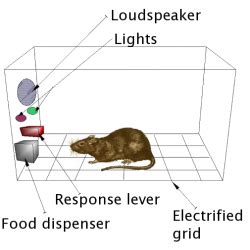 Hrlearningtheoriesoperantconditioning Learning Theories