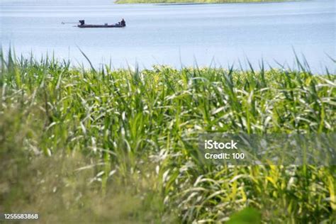 태국 의 시골에서 일광 강둑에서 물 잡초를 많이 통과 봐 나는 어부가 소박한 삶의 길을 유지하기 위해 차오 프라 야 강 위에 낚시 보트와 떠있는 볼 수 있습니다 강에 대한