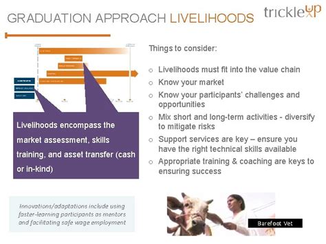 What Is The Graduation Approach The Graduation Approach