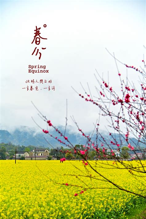 春分 桃花江诗情