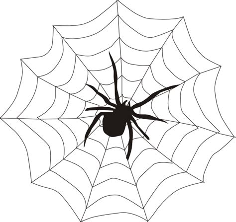 Spider Web World Wide Web Spider Silk Spider Web Decoration Pattern Png Download 15011457