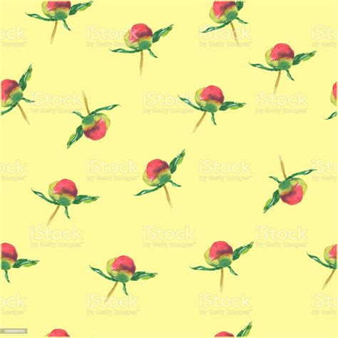 노란색 바탕에 핑크 작 약 꽃 봉 오리입니다 원활한 수채화 패턴 0명에 대한 스톡 벡터 아트 및 기타 이미지 0명 기념일 꽃봉오리 Istock