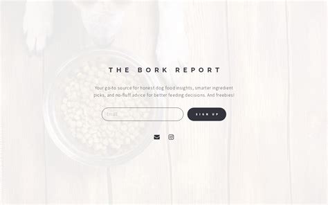 The Bork Report