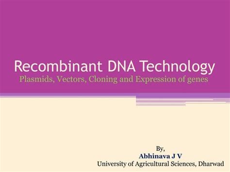 Lambda Cloning Vector Ppt