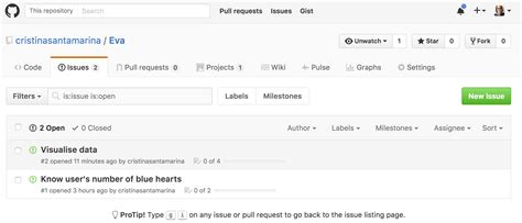 Using Github To Manage The Product And Sprint Backlogs Cristina