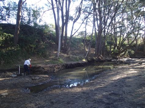 Tuena Anyone Had Any Luck There