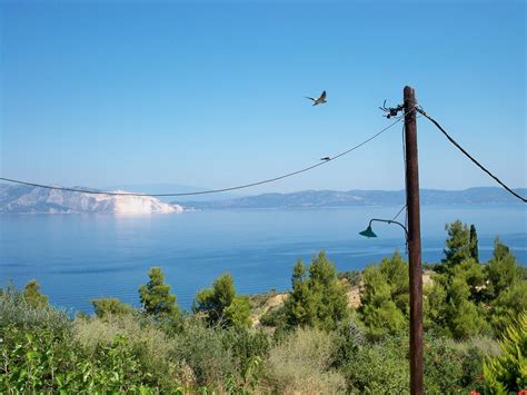ΓΥΜΝΑΣΙΟ ΚΑΙ ΤΡΕΙΣ ΛΥΚΕΙΑΚΕΣ ΤΑΞΕΙΣ ΓΟΥΒΩΝ ΕΥΒΟΙΑΣ Καστρί