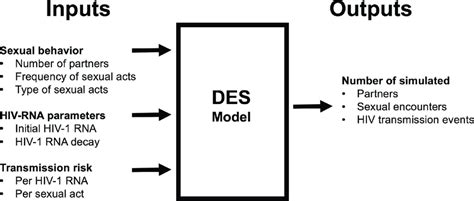 Key Input And Output Variables In The Model Abbreviations Des Download Scientific Diagram