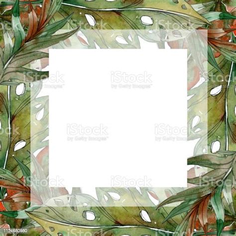 그린 팜 비치 트리 정글 식물 잎 수채화 배경 그림 설정 합니다 프레임 테두리 장식 스퀘어입니다 그리기에 대한 스톡 벡터 아트 및 기타 이미지 Istock