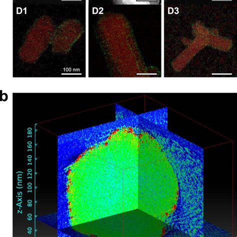 Electron Microscopy And Tomography Analysis A Adf Stem Images Top Row Download Scientific
