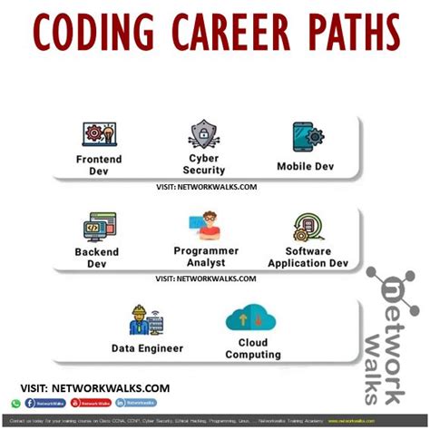 Networkwalks On Linkedin Coding Career Paths