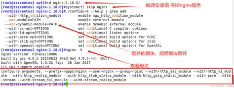 nginx 变量 日志分割 自定义图标 证书 （四） csdn博客
