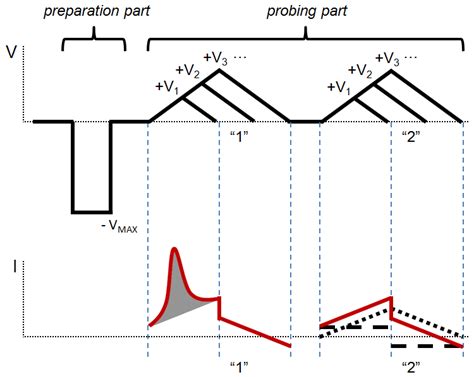 Figure S1 Schematic Representation Of The Signals Used For Measuring Download Scientific