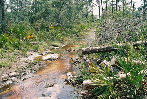 Replanting Flaming Arrow Scout Reservation ClassB Custom Apparel And Products