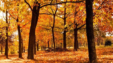 Redenen Waarom De Herfst Zo Goed Voor Je Is