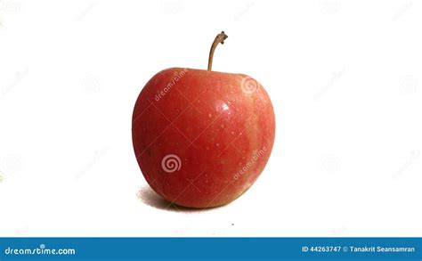 Red Mini Apple Stock Image Image Of Healthy Fruit Apples 44263747