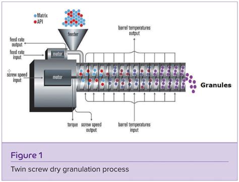 A Qbd Guided Development Of A Twin Screw Granulation Process