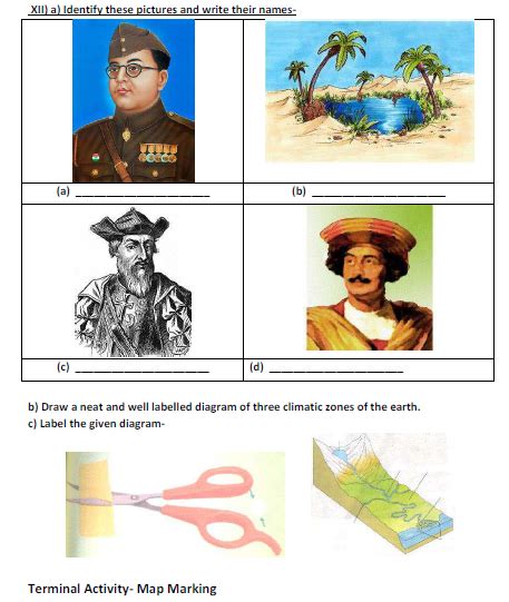 Cbse Class 5 Evs Sample Paper Set D