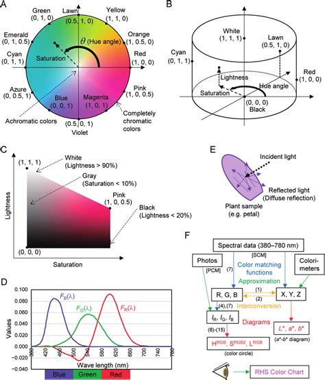 Schematic Representation Of Colorimetric Calculations A Color Download Scientific Diagram