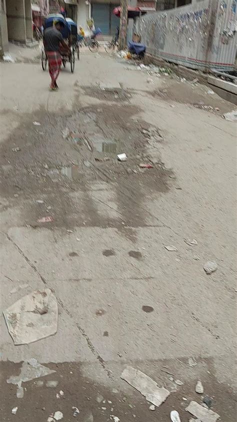 Street Object Detectionportrait Object Detection Dataset By Street