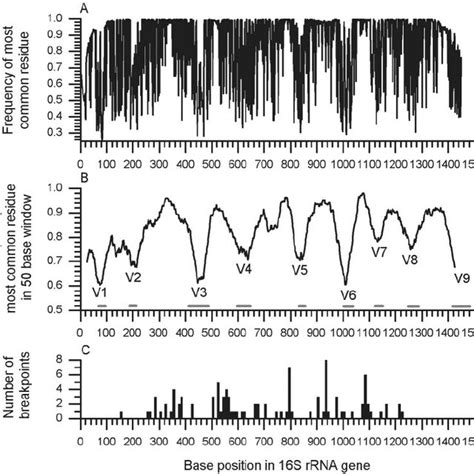 Illustrating Variable Regions Within The 16s Rrna Gene And Location Of Download Scientific