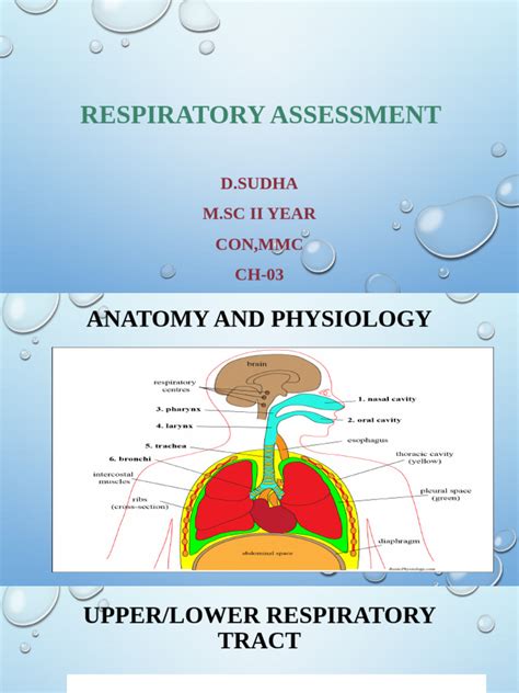 Respiratory Assessment Pdf