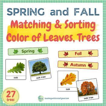 Spring And Fall Autumn Matching Sorting Color Of Leaves Trees 27 Trees
