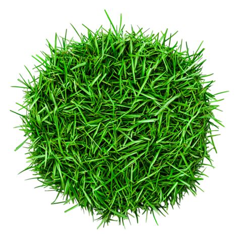 Lush Green Grass Sphere Natural Background For Design And Decoration 56254683 Png
