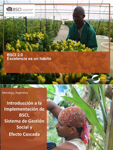 Introduction To The Bsci Implementation Social Management System And Cascade Effect Es Pdf