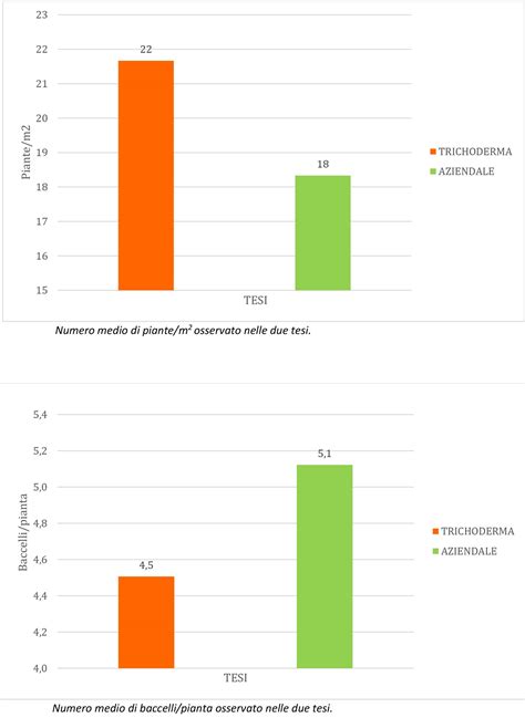 Applicazione Trichoderma Atrobrunneum E Agricoltura Di Precisione Sperimentazione In Campo