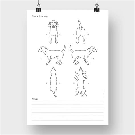 Printable Canine Body Map