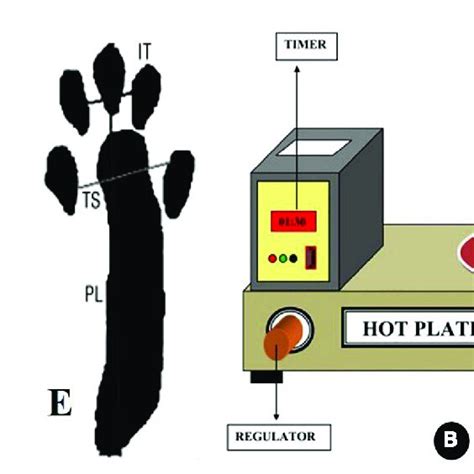 Diagrammatic Illustration Of The Variables Considered In Calculating