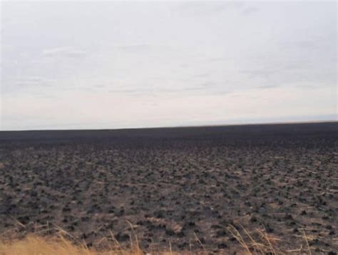 Булган Дорнод аймагт гарсан хээрийн түймрийг бүрэн унтраалаа E Mn