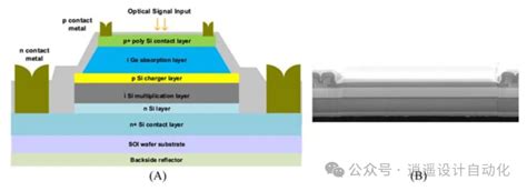 用于硅基光电子技术的高速光电探测器 逍遥科技