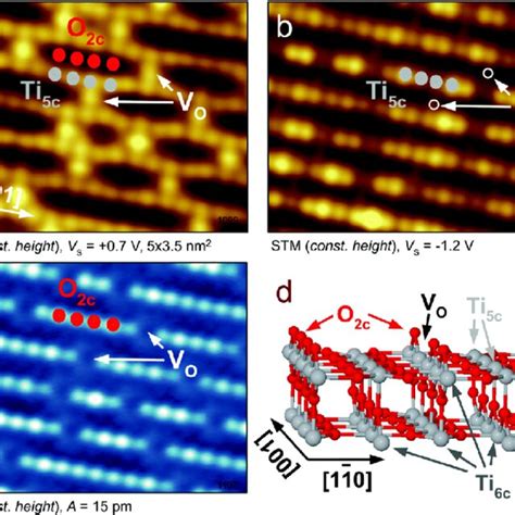 Stm And Nc Afm Imaging Of The Rutile Tio 2 110 Surface Same Area Of Download Scientific