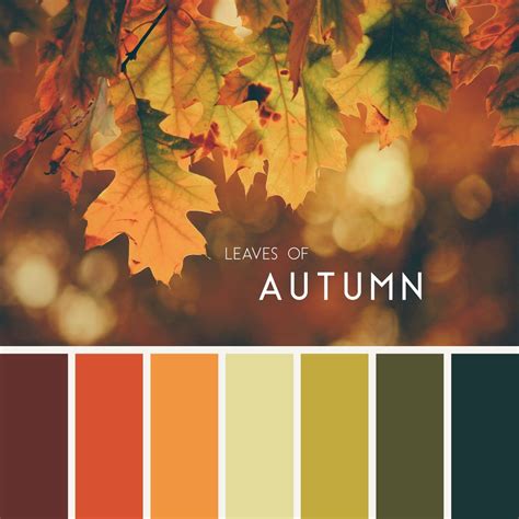 Autumn Color Palette 2024 Nature Detail Leaves