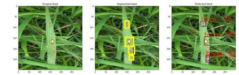 Iot And Image Processing Iotedu Iot And Image Processing