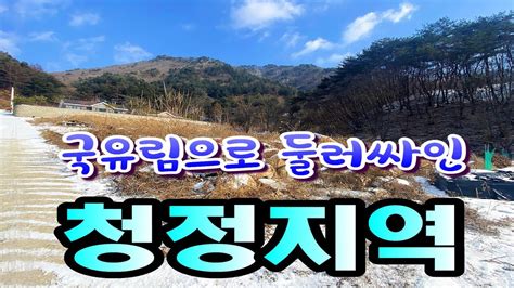 국유림으로 둘러싸여 공기 좋은 단지내 토지매매 양평토지매매 한적하고 조용한 입지의 양평전원주택지♣매물문의 031 773 3944 Youtube