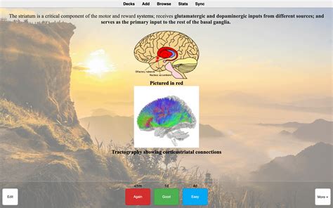 cloze deletion hint issue r anki