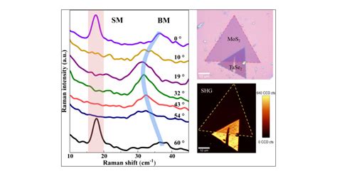 Angle Dependent Oscillatory Interlayer Coupling In Twisted Mos2 Tase2 Heterostructure The
