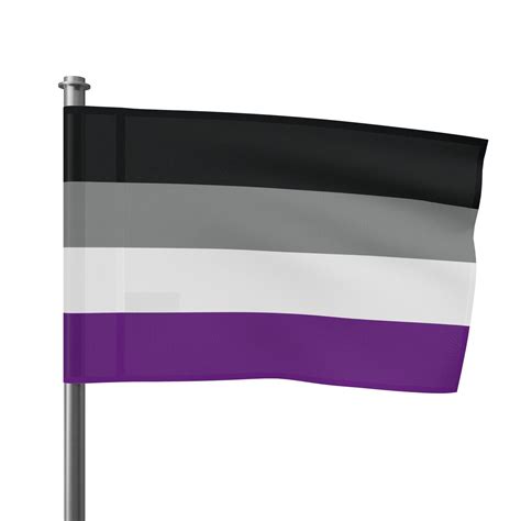 Asexual Pride Flag Ace Banner For Lgbtqia Representation And Visibility