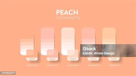 색상 테마 컬렉션의 색상 팔레트 색상 영감 또는 코드 템플릿이 있는 색상 차트 Rgb의 색상 조합 세트입니다 그래픽 디자인 예술