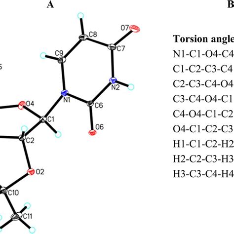 A Molecular Structure Of 15 Showing The Atom Labelling Scheme