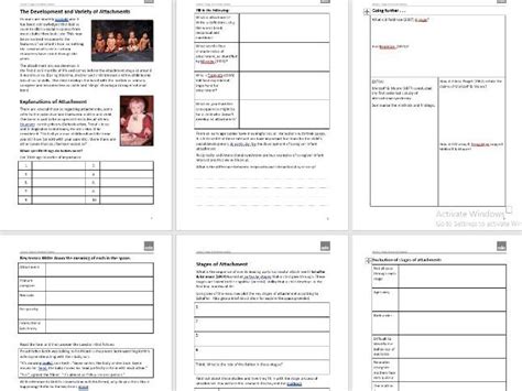 Stages Of Attachment Teaching Resources