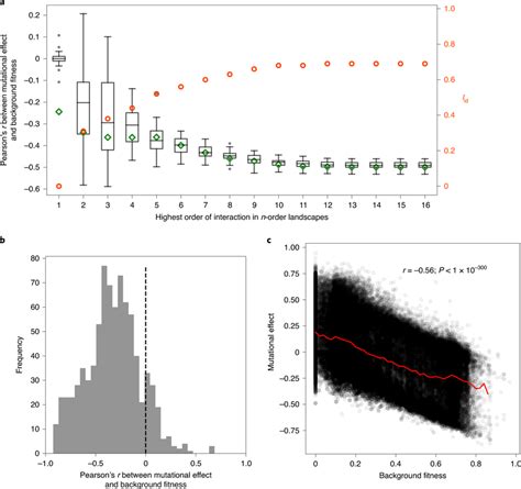 Negative Correlation Between Mutational Effect And Background Fitness Download Scientific
