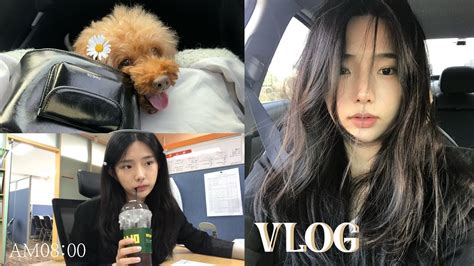 💬vlog직장인브이로그• 일개미의 출퇴근🌀 • 주말이 기다려지는이유 •23살 사무직 •연남동맛집 Youtube